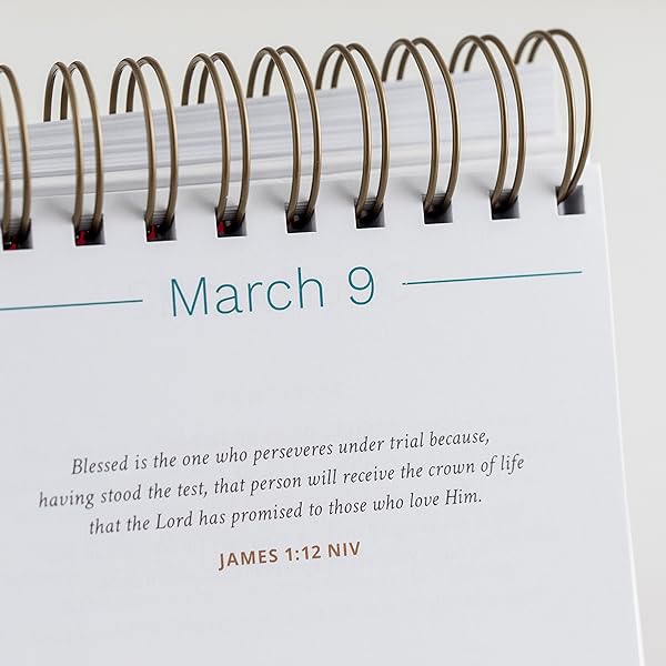 DaySpring - Susie Larson - Blessings for Every Day - An Inspirational ...