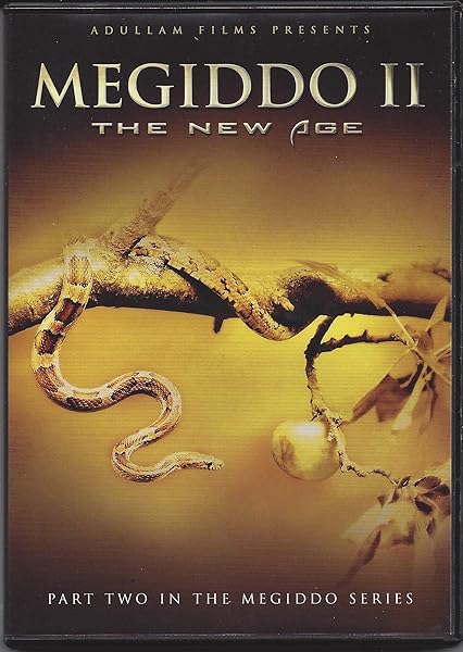 Megiddo II: The New Age, Part 2 In The Megiddo Series - Vintage Book ...
